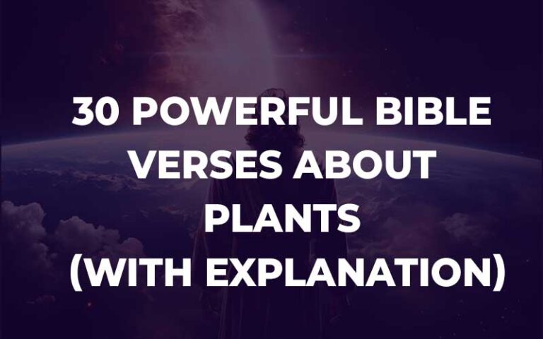 30 Powerful Bible Verses About Plants (With Explanation) - Bible Study ...