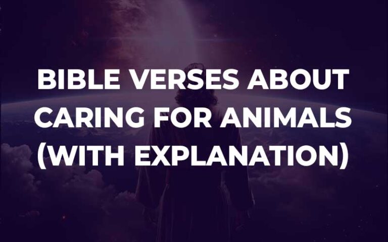 20 Bible Verses About Caring For Animals (With Commentary) - Bible Study For You